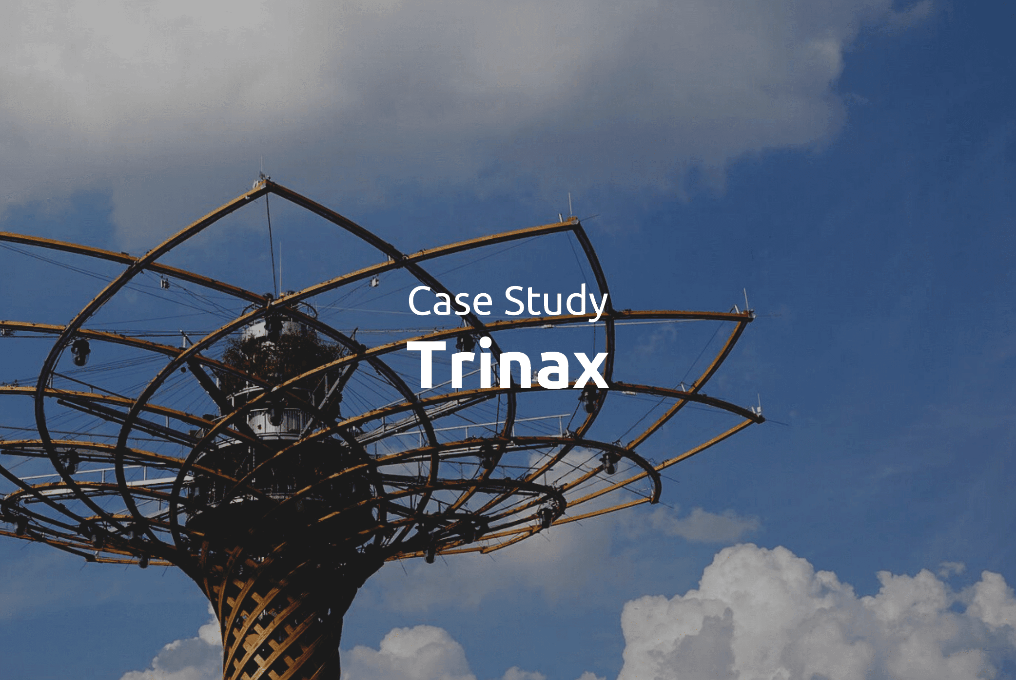 Transforming the Virtual Travel Expo with Trinax | Mlytics